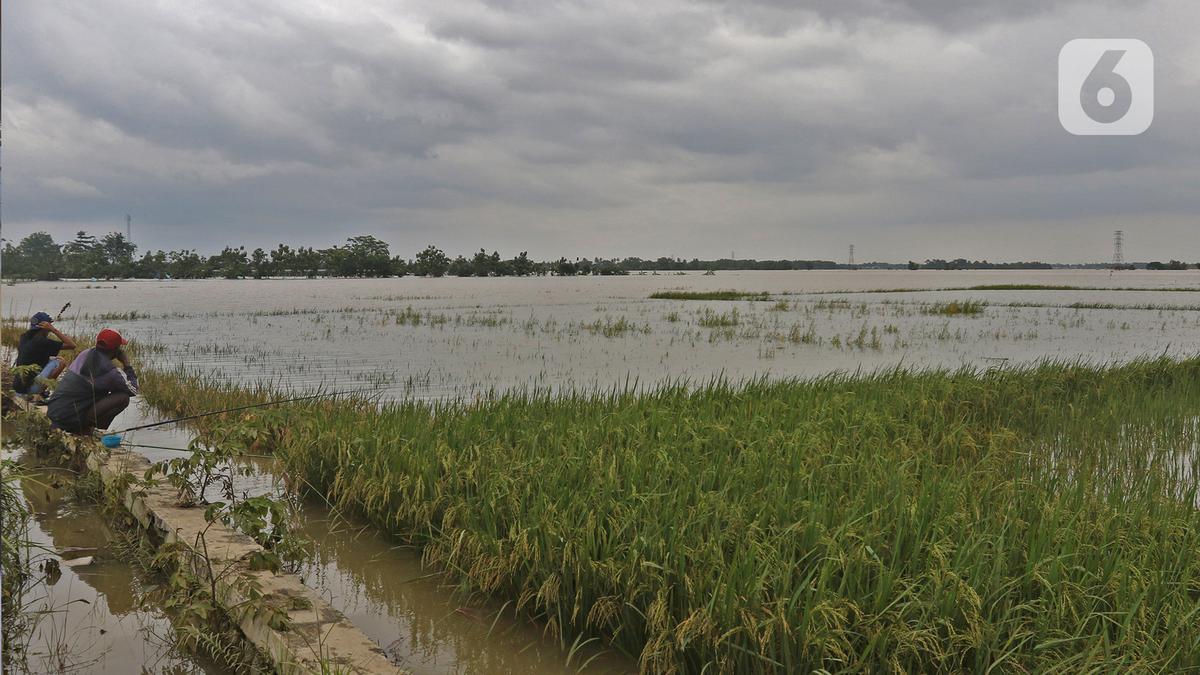 Sungai Citarum Meluap, Ratusan Rumah di Karawang Terendam Banjir - Regional Liputan6.com
