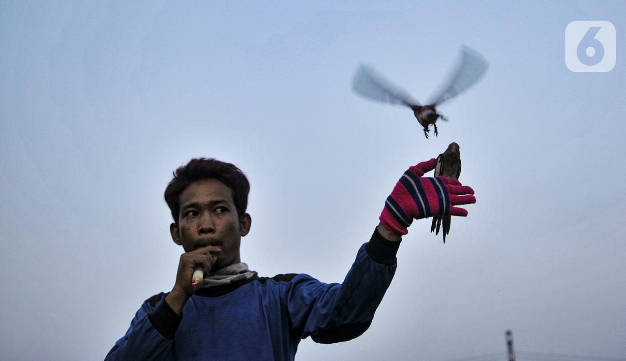 FOTO: Melatih Burung Terbang Bebas di Langit Jakarta