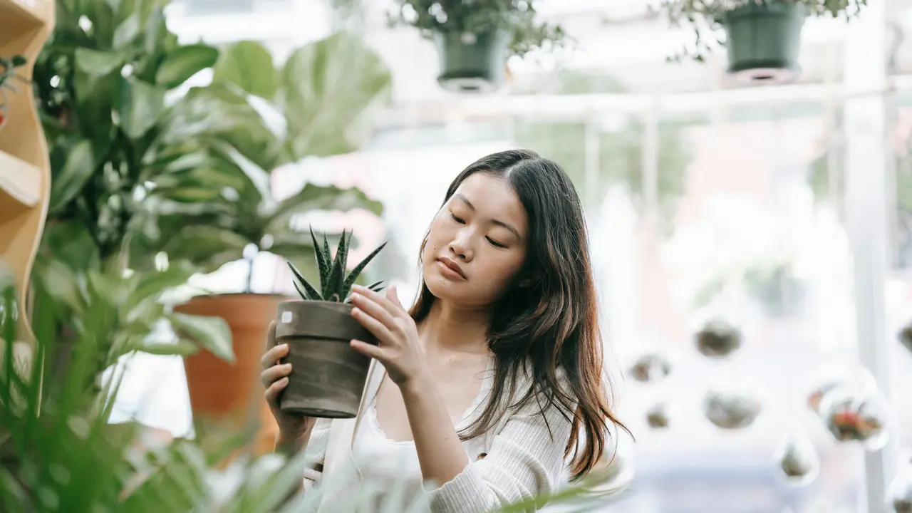 6 Model Pot Bunga Minimalis Terbaru, Cocok untuk Percantik Rumah ...