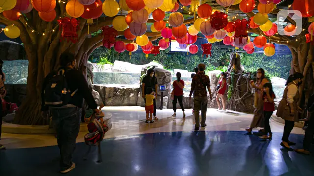 Serba Air, Ini 7 Tempat Wisata Akuarium di Indonesia - Regional ...