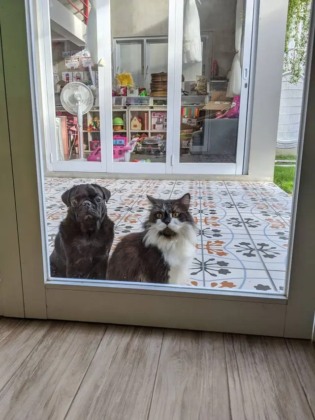 Rumah Cici Panda di Bali Bernuansa Serba Putih, Ini 7 Potretnya ...