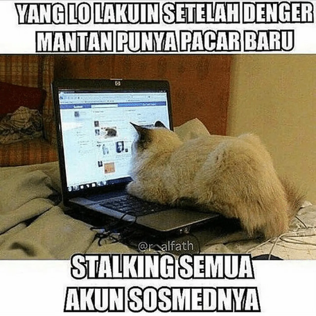 7 Meme Perjuangan Orang Stalking Media Sosial Ini Ujungnya Bikin Ngenes ...