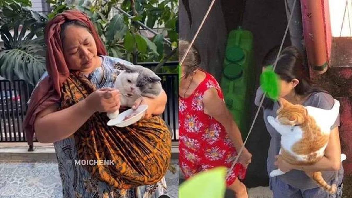10 Potret Lucu Kucing saat Digendong, Ada yang Dipeluk Hingga Pakai Jarik