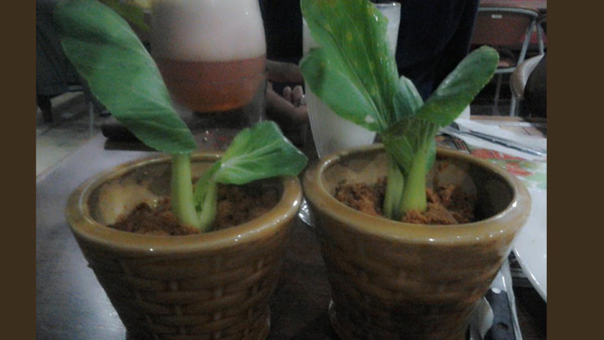 Unik, Nasi Goreng dalam Pot di Kafe Strawberry