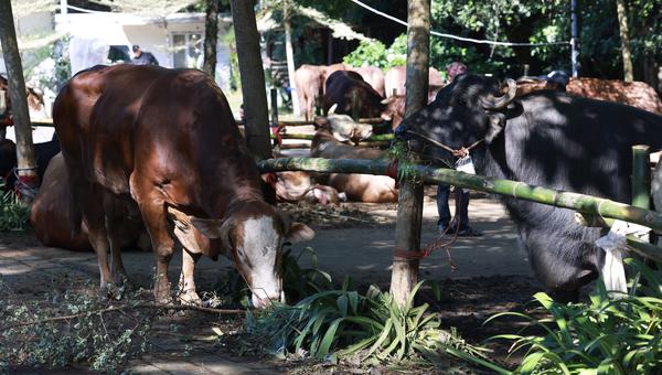 Defekasi adalah Pengeluaran Zat Sisa Pencernaan, Begini Prosesnya