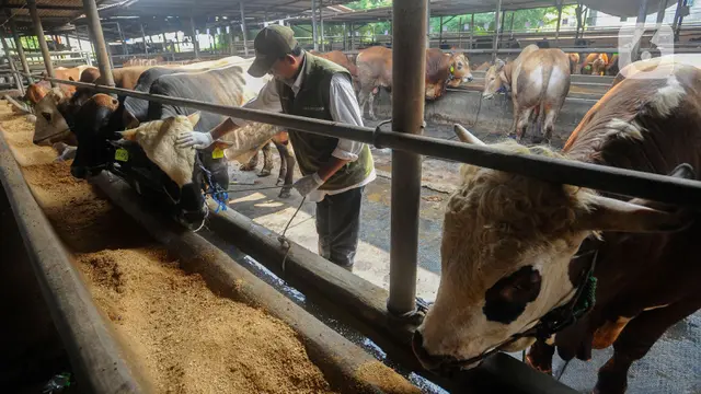 Muslim Wajib Tau! Ini 5 Syarat Sah Hewan Kurban untuk Idul Adha, Apa Saja? - Islami Liputan6.com