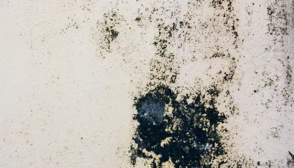 Apa Itu Informatika dan Ruang Lingkupnya, Simak Penjelasan Lengkap ...