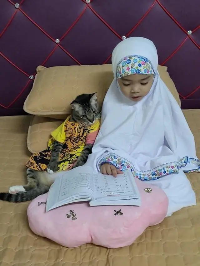 6 Potret Kucing Temani Orang Mengaji Ini Bikin Gemas - Hot Liputan6.com