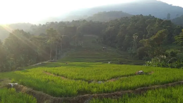 6 Fakta Menarik Gunung Rajabasa di Lampung yang Terlihat dari Pelabuhan ...