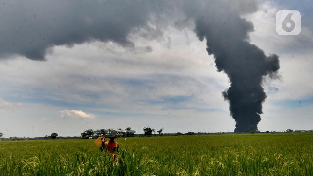 5 Pernyataan Pertamina Usai Kebakaran Kilang Minyak Balongan - News ...