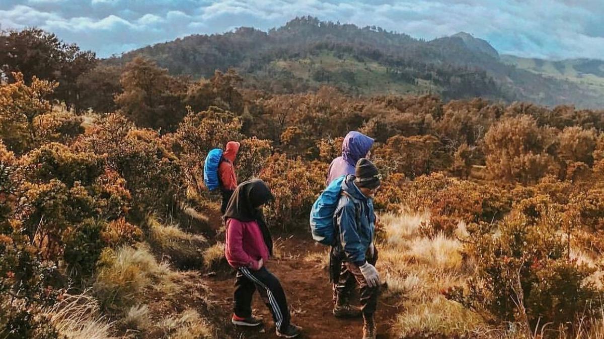 6 Fakta Menarik Gunung Arjuno yang Bersebelahan dengan Gunung Welirang ...