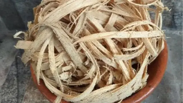 Mengenal Doro Putih, Bahan Jamu Bersalin Racikan Madura - Lifestyle ...