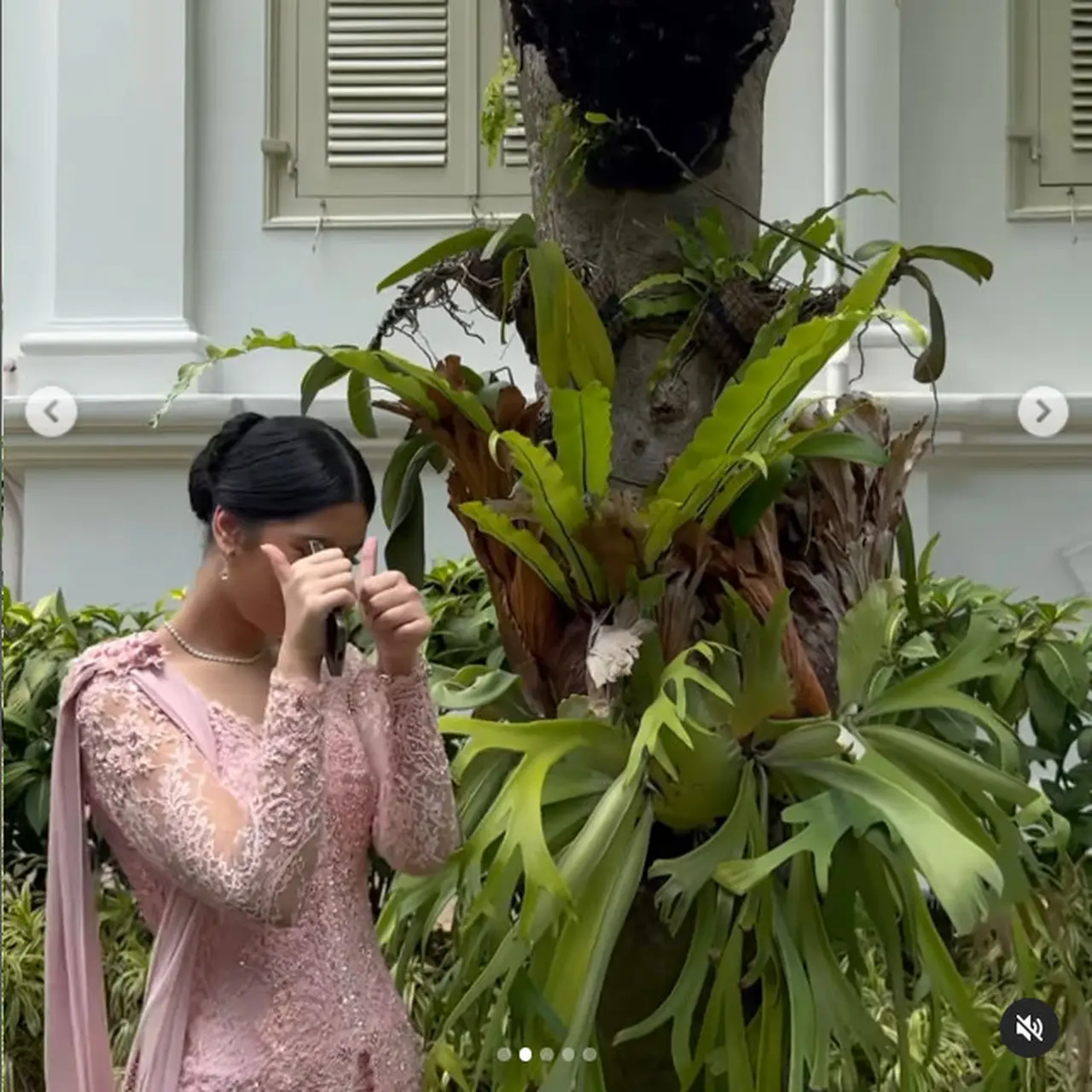 6 Potret Almira Yudhoyono Tengok Pohon 'Kenari Aira' di Istana, Ditanam ...