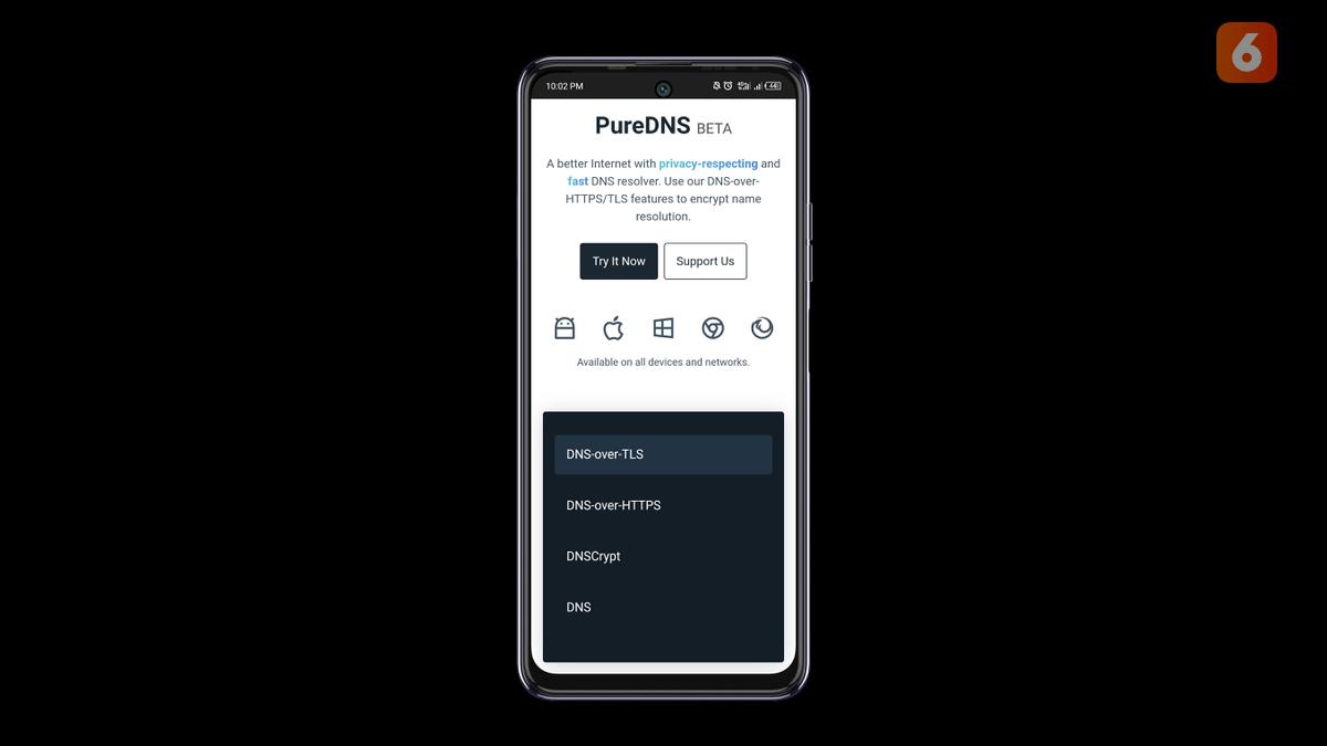 Pengembang Indie Lokal Tawarkan Secure DNS Gratis untuk Koneksi ...
