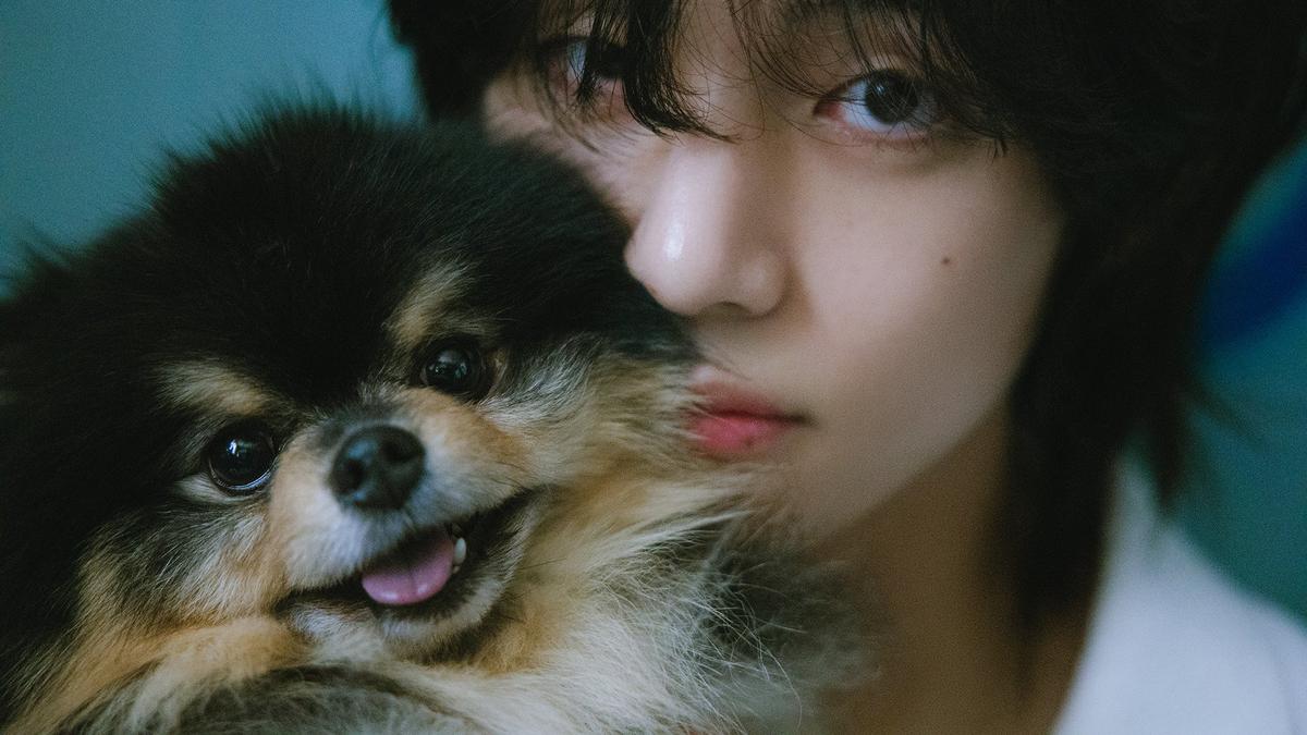 V BTS Rilis Dua Lagu Pertama di Album Layover, Bercerita Sulitnya ...