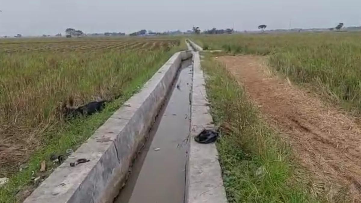 Dongkrak Produktivitas Pertanian, Kementan Realisasikan Program RJIT di ...