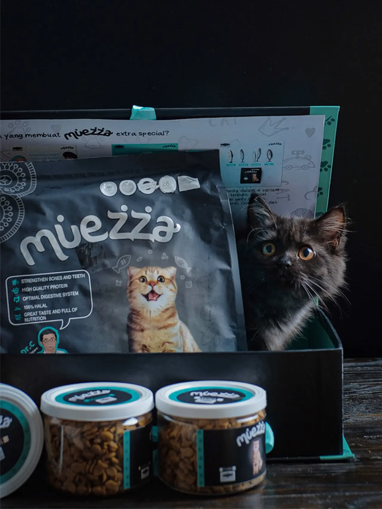 Jadi Reseller Muezza, Kucing Sehat Penghasilan Berlipat - Bisnis ...