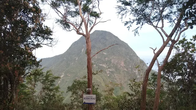 6 Fakta Menarik Gunung Kenderong-Gunung Kerunai, Puncak Kembar di ...