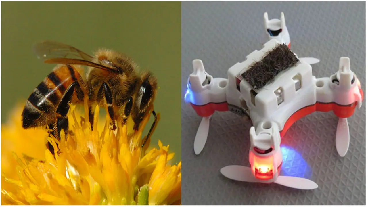 Jepang Ciptakan Robot Lebah untuk Bantu Penyerbukan - Citizen6 Liputan6.com