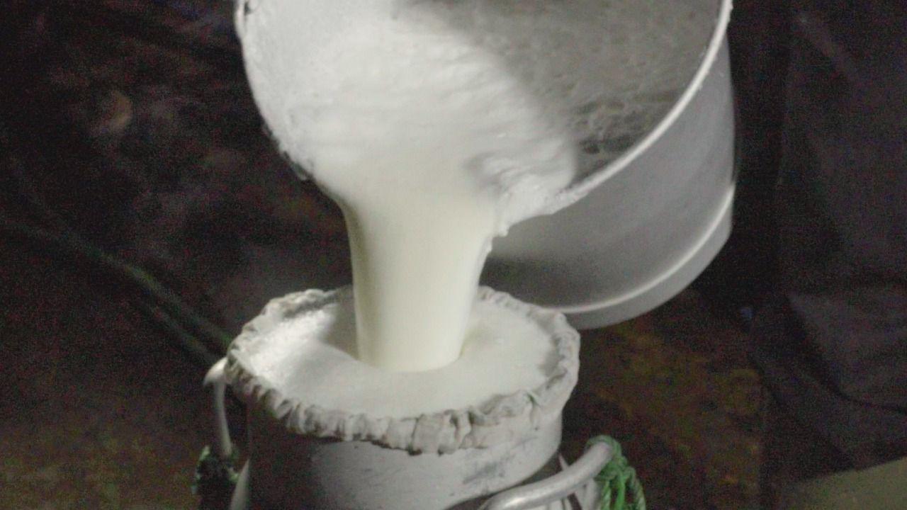 14 Jenis Susu yang Banyak Ditemukan di Pasaran, Kenali Kandungan Nutrisinya