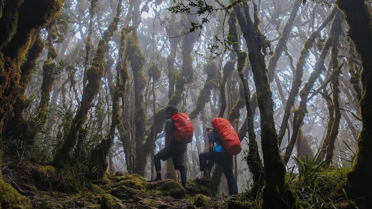 6 Fakta Menarik Gunung Latimojong di Sulawesi yang Memiliki 7 Puncak
