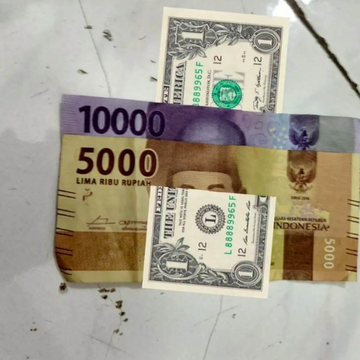 Memes Mata Uang 8 Meme Kocak Saat Dolar Naik, Lucu Sekaligus Bikin