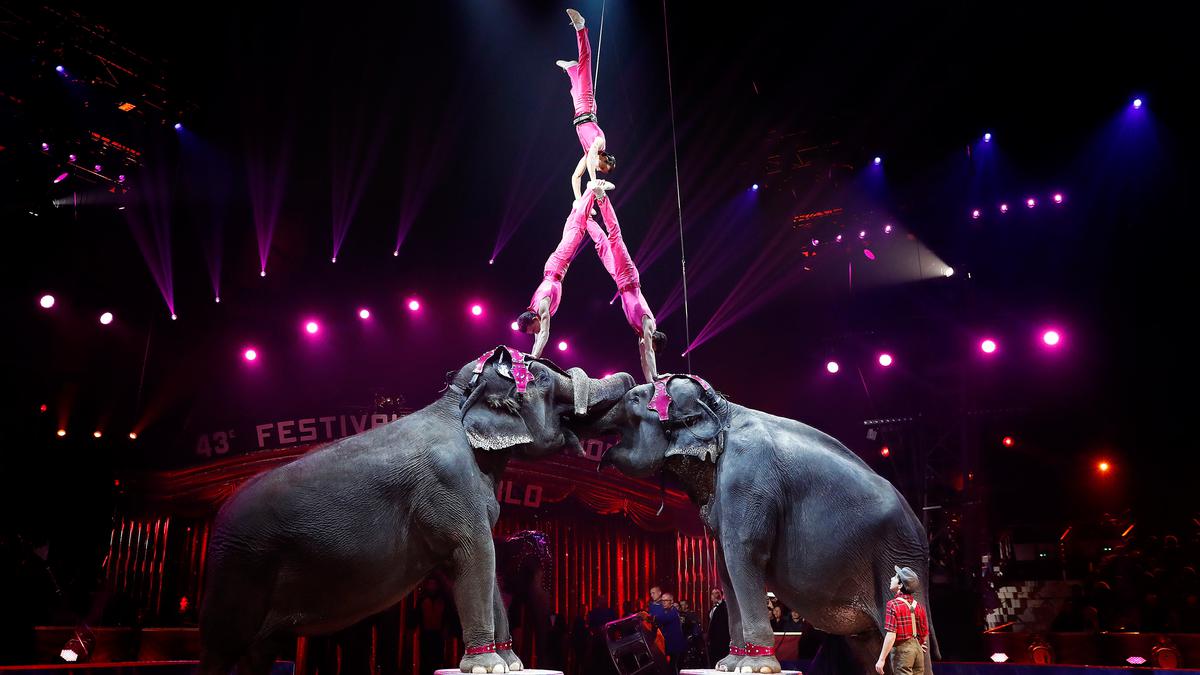 FOTO: Pembukaan Festival Sirkus Internasional Monte Carlo - Foto ...