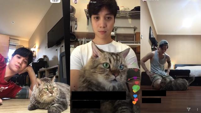 7 Potret Gemas Dikta Yovie & Nuno dengan Jimbon, Kucing Peliharaan yang ...