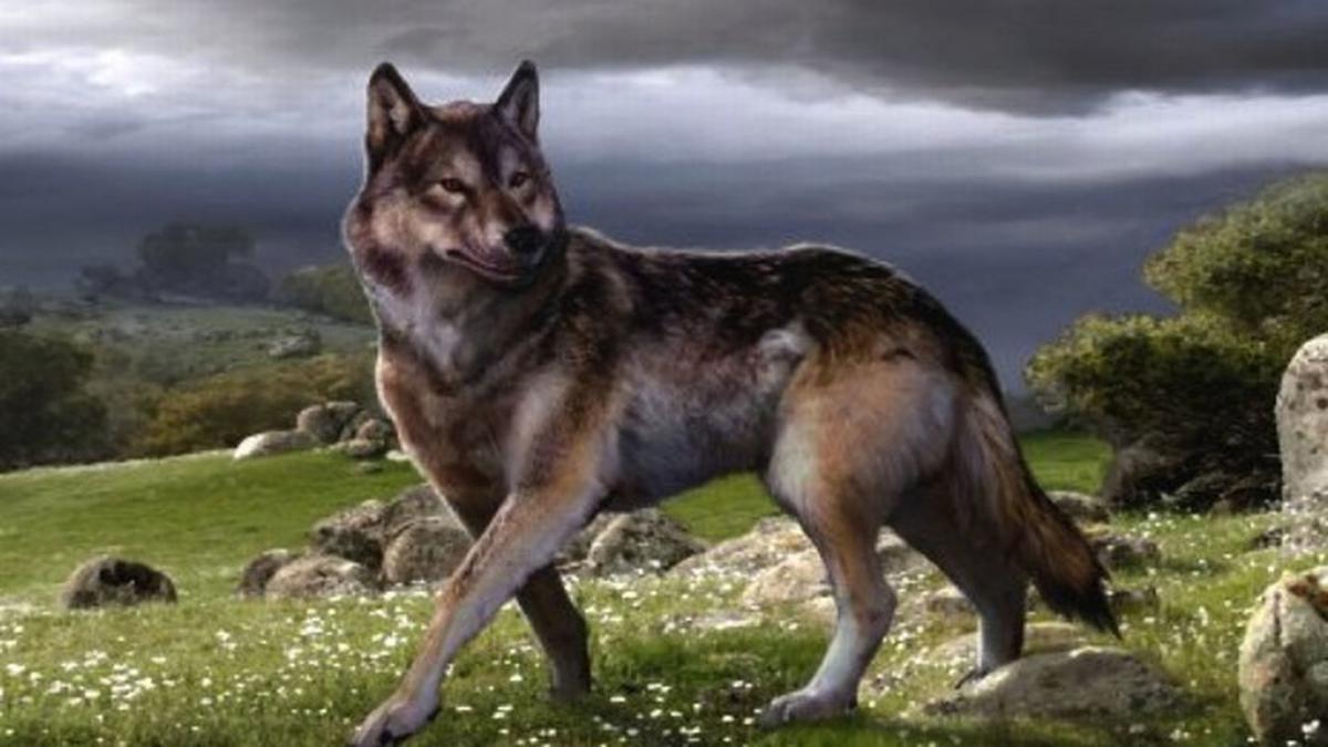 6 Makhluk Mitos Ini Ternyata Ada di Dunia Nyata - Video Liputan6.com