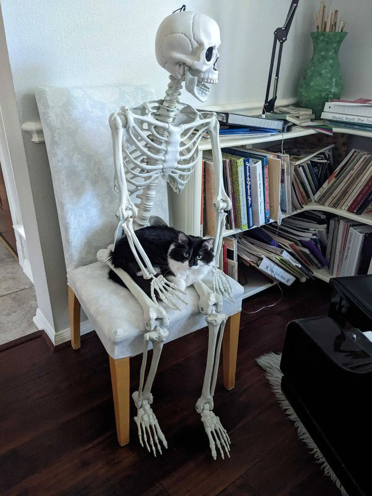 6 Potret Lucu Kucing Saat Pose Bareng Patung Ini Bikin Gemas - Hot ...