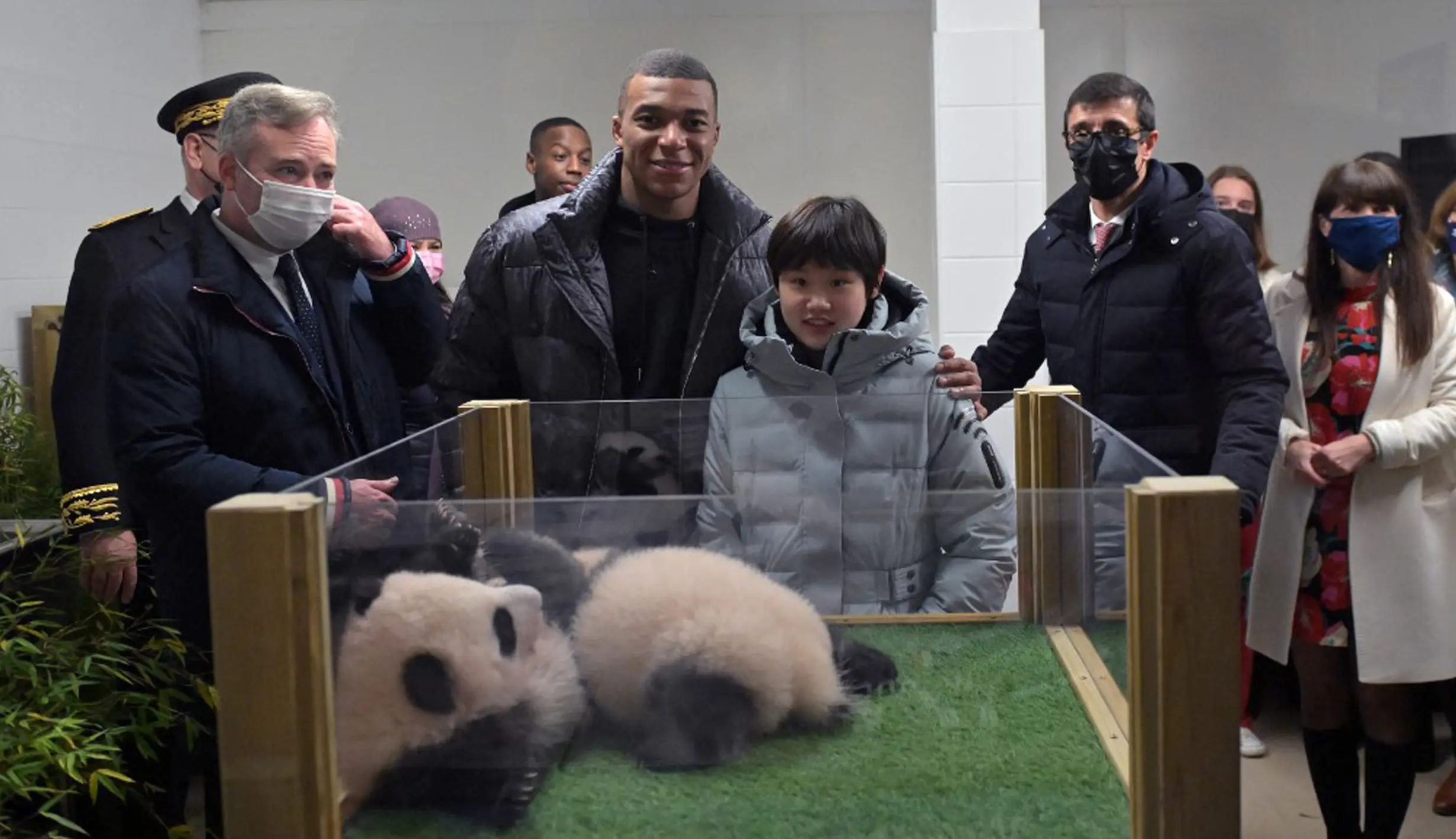 FOTO: Kylian Mbappe Jadi Wali Baptis Anak Panda - Foto Liputan6.com