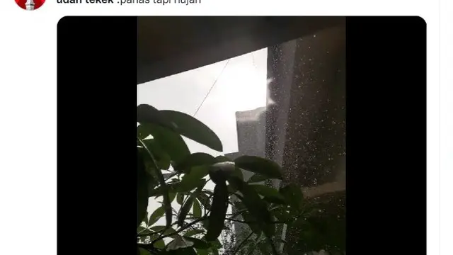 Misteri Udan Tekek, Fenomena Alam Hujan Turun saat Panasnya Matahari ...