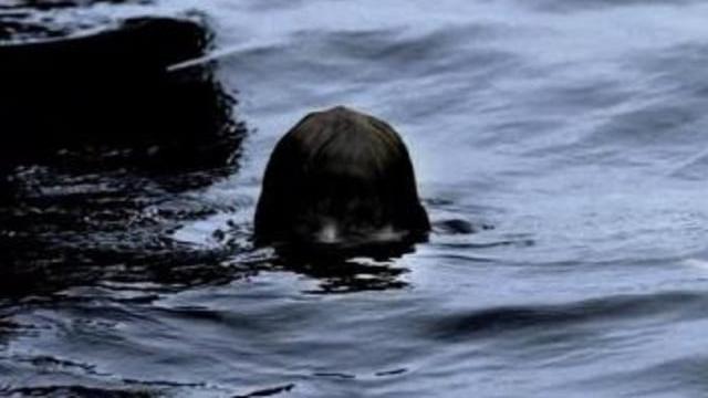 Jarang diketahui, Ini Dia 5 Hantu Paling Seram dan Mengerikan di Indonesia