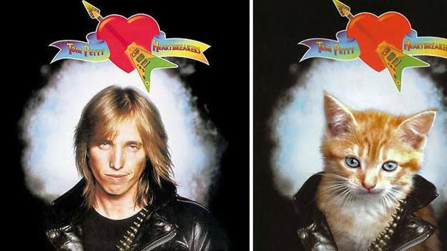 6 Editan Kucing Parodikan Cover Album Musik Ini Bikin Gemas - Hot ...