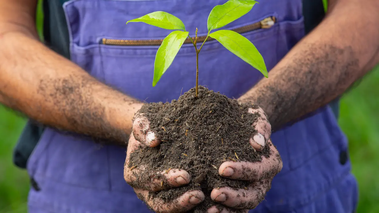 10 Manfaat Pupuk NPK, Jenis-Jenis, dan Cara Menggunakannya - Hot ...