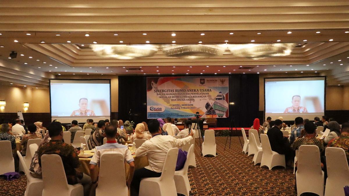 Ditjen Bina Keuda Kemendagri Gelar Webinar Series ke-32, Tingkatkan Kinerja dan Sinergitas BUMD ...
