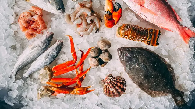 101 Nama-Nama Ikan Air Tawar dan Ikan Laut, Simak Daftarnya