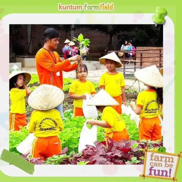 Mengenal Kuntum Farmfield dan Nurseries, Destinasi Wisata Ramah Anak ...