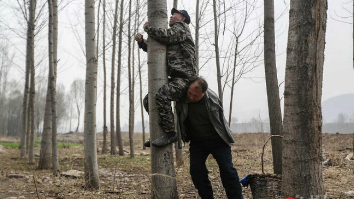 Hebat, Pria Buta dan Lelaki Tanpa Lengan Tanam 10 Ribu Pohon - Global ...