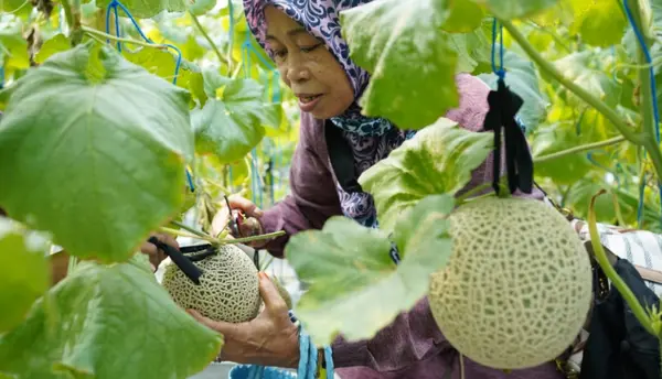 7 Film Indonesia Bertema Pernikahan, dari Poligami hingga Perceraian - Hot Liputan6.com