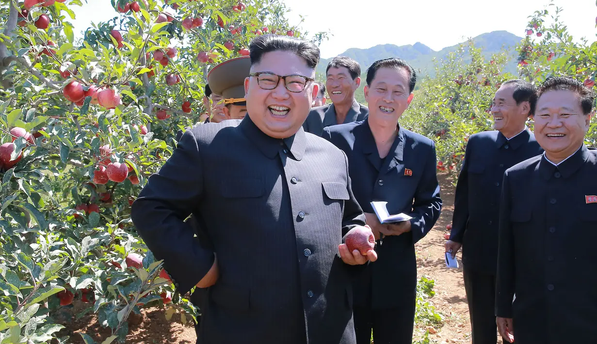 PHOTO: Kim Jong-un Semringah Lihat Kebun Apelnya Subur - Foto Liputan6.com