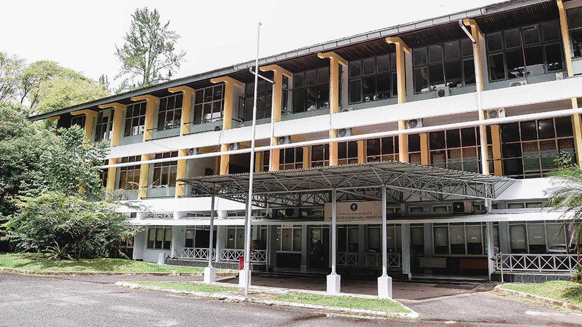 5 Fakta Terkait Mahasiswa IPB Hilang di Pulau Sempu dan Ditemukan ...