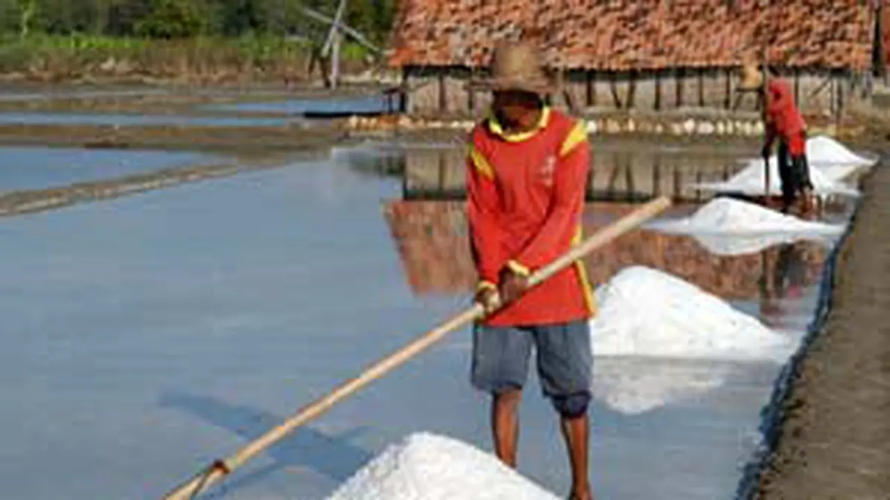 Sekarang, Indonesia Sudah Bisa Produksi Garam Farmasi - Health Liputan6.com