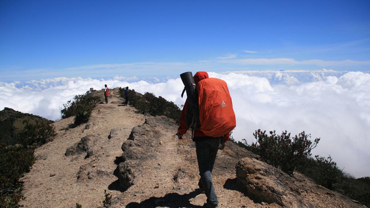 Kronologi Penemuan 9 Korban Tragedi Gunung Lawu