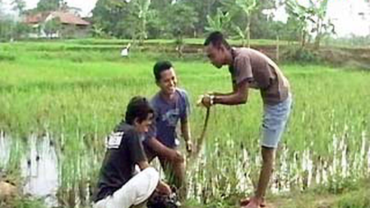 Mancing Belut Sambil Menunggu Berbuka