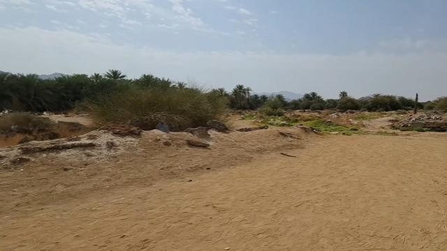 6 Potret Lokasi Area Perang Badar, Jadi Peperangan Pertama dalam ...