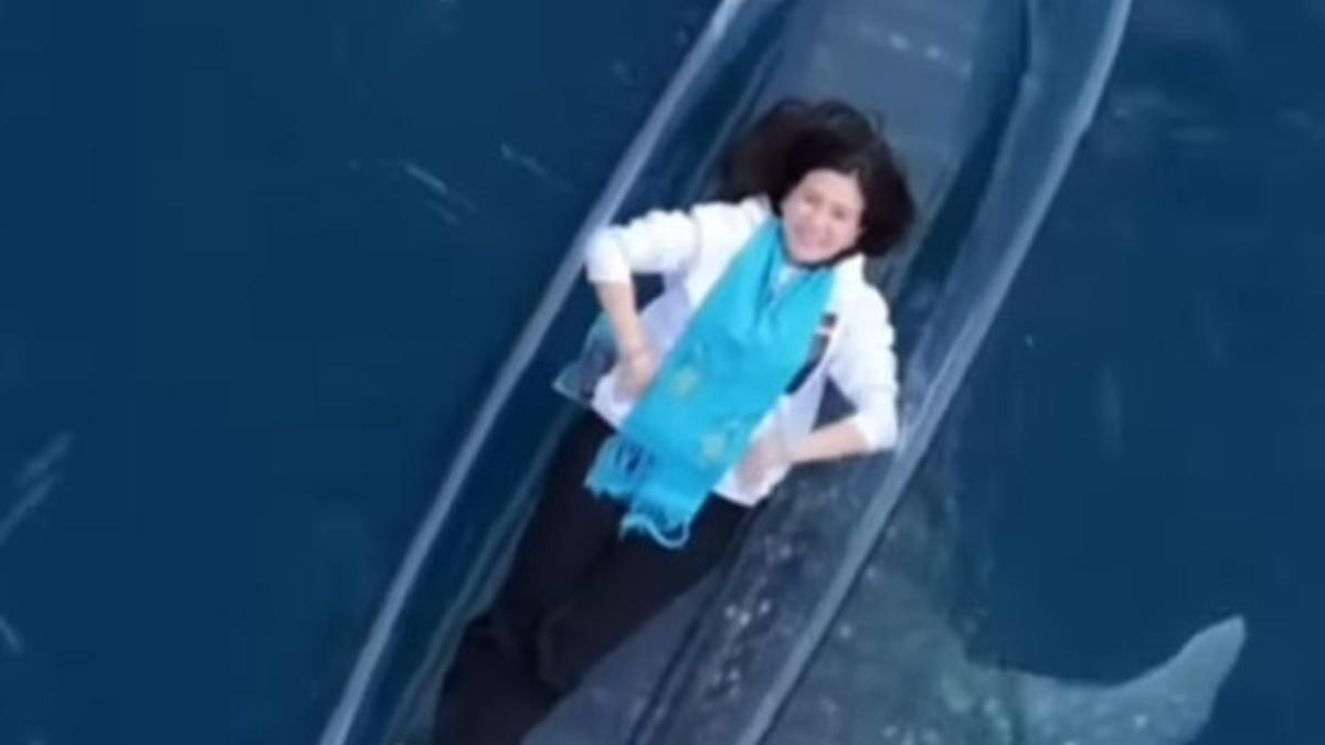 Tanpa Swimsuit, Veronica Tan Sapa Hiu Paus Sherly di Gorontalo dengan ...