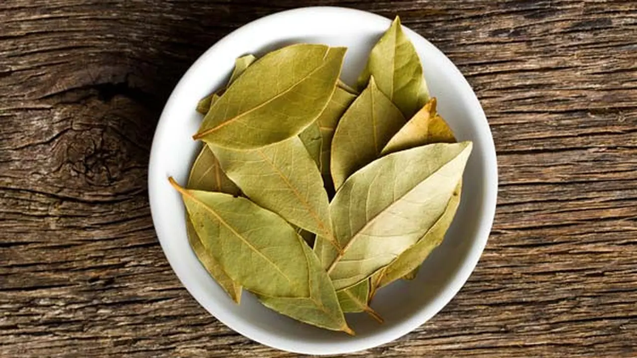 Ternyata Ini 4 Fungsi Daun Salam dalam Masakan dan Kesehatan - Food ...