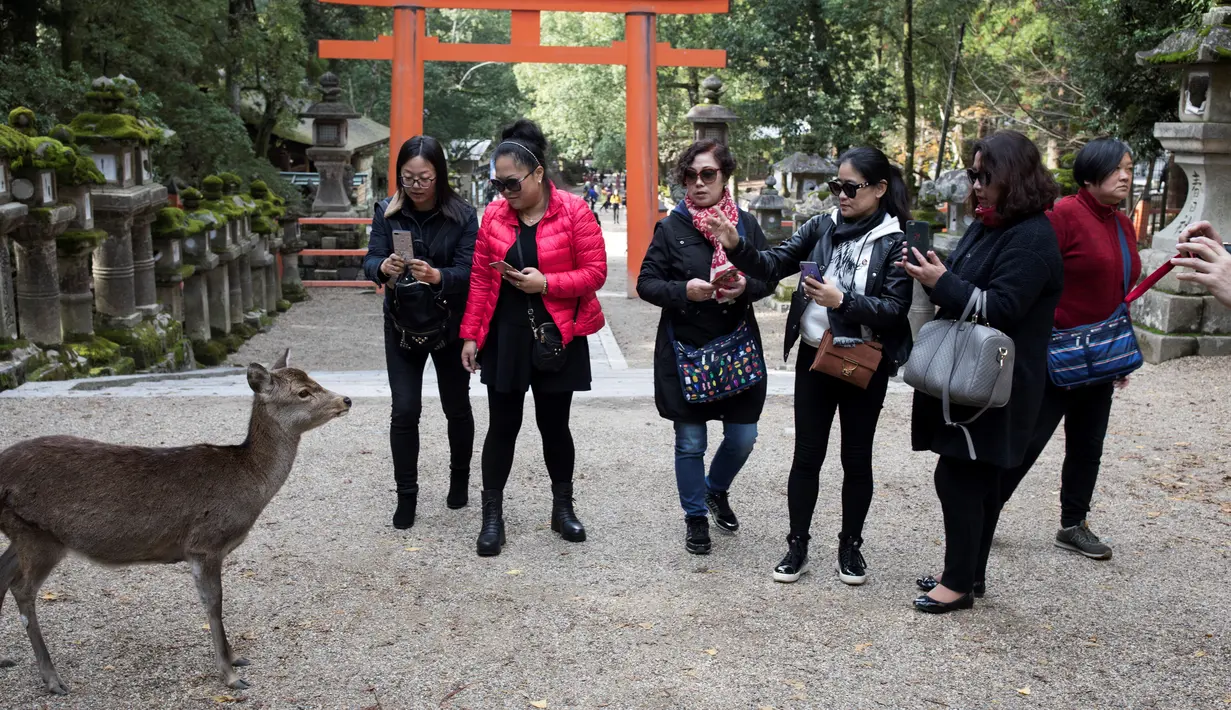 FOTO: Mengunjungi Nara, Taman Seribu Rusa di Jepang - Foto Liputan6.com