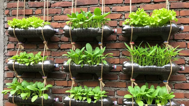 7 Ide Kebun Gantung dari Barang Bekas yang Hasilnya Melimpah, Stok ...